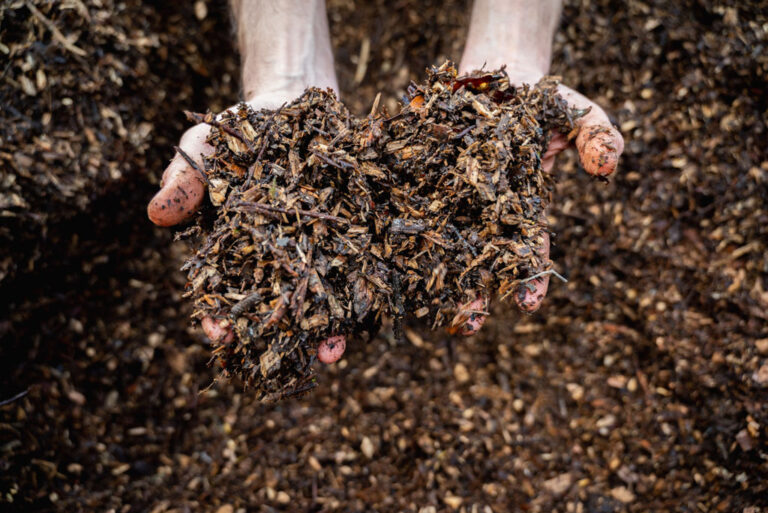 Ecoshred - Composted Wood Mulch - Apollo Wood Products
